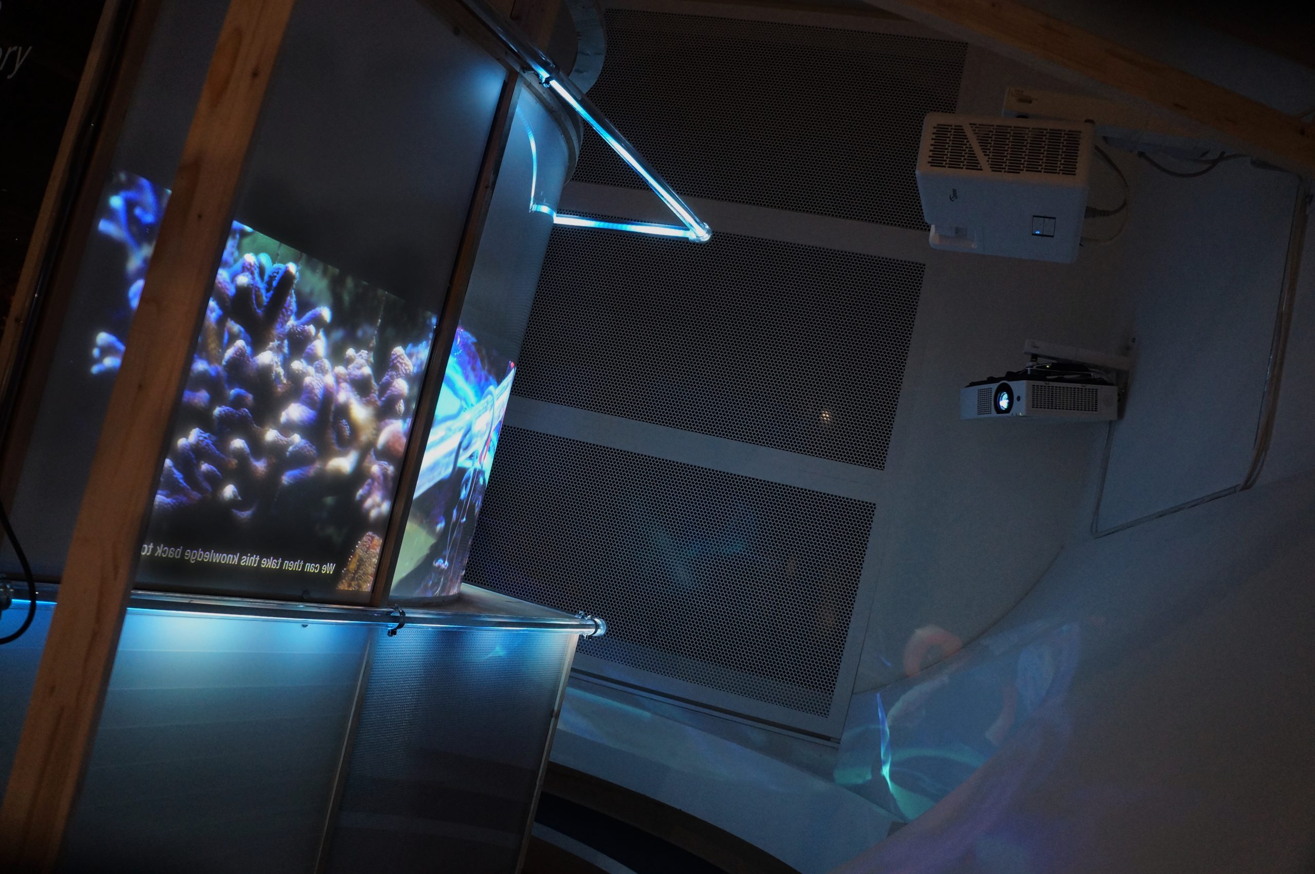 “Triff das Riff! Perspektive Forschung” - Raumstationen.io